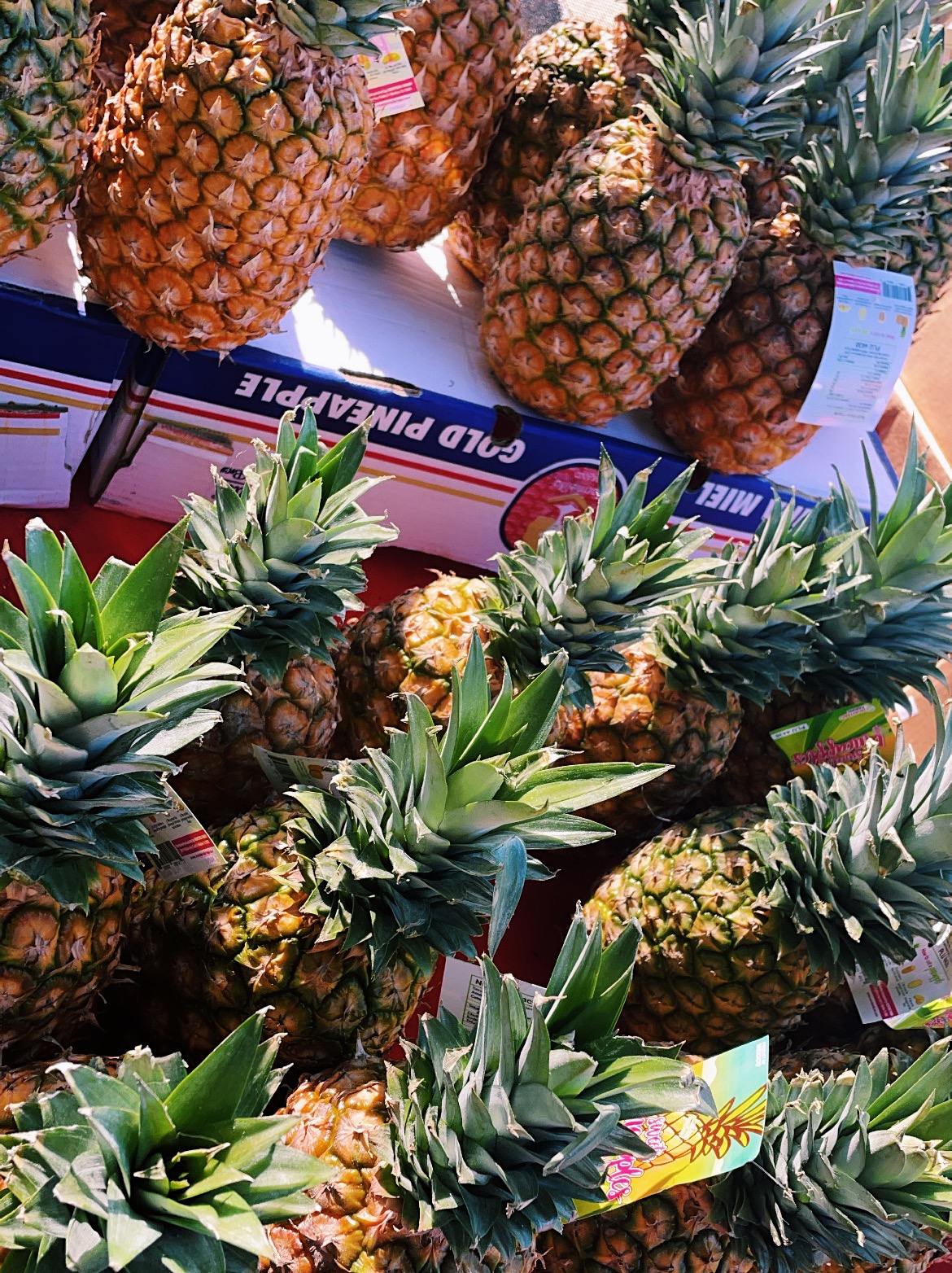 Corey Ave. Market | GLAM ON THE GULF