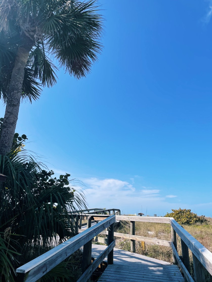 Corey Ave. Market | GLAM ON THE GULF